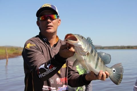 10 Effective Pike Fishing Tips (2025 Guide) To Boost Success