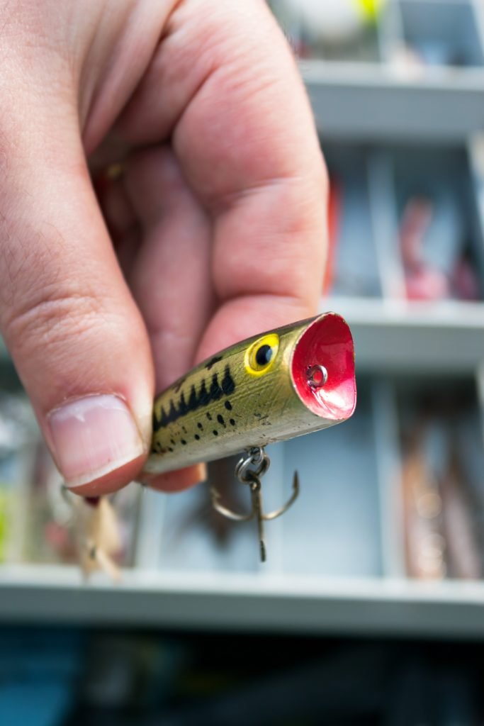 5 Best Lures For Bass Fishing That Will Help You Land The Biggest Catch Yet