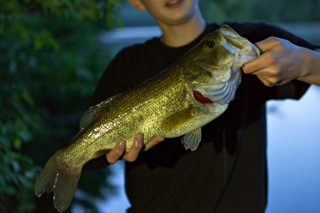 The Ultimate Equipment Checklist For Successful Bass Fishing Trips