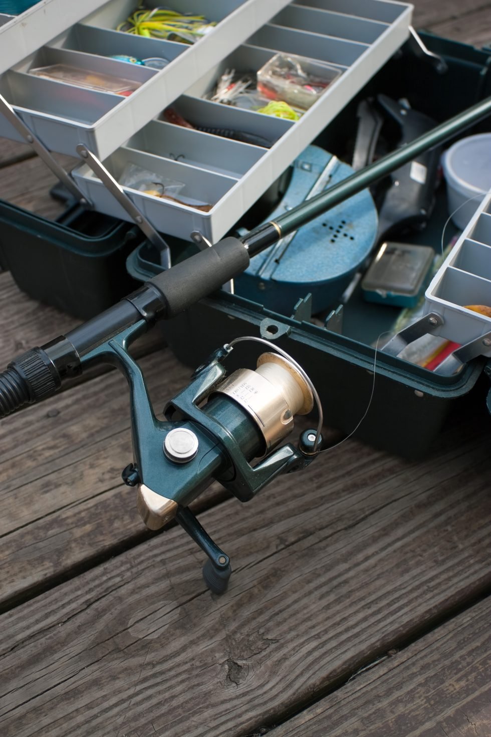 Why Trout Fishing Is The Best Type Of Fishing (and How To Do It Right